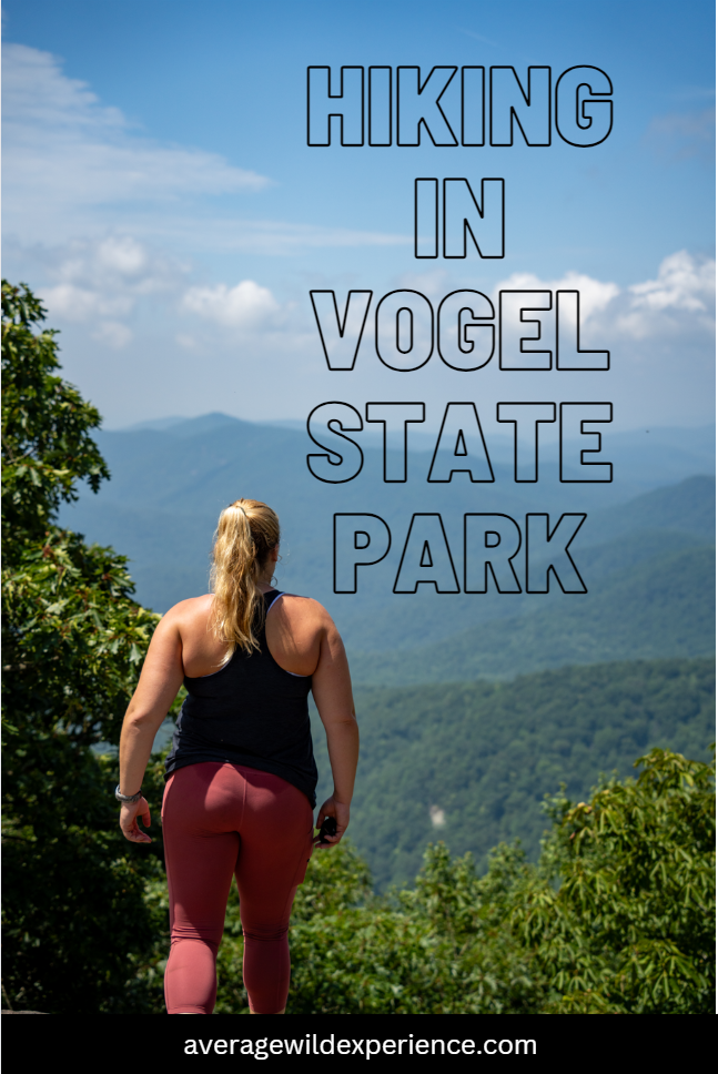 Hiking in Vogel State Park: Everything You Need to Know - Average Wild ...