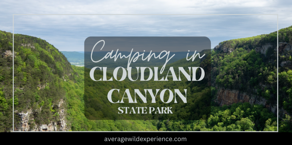 Cloudland Canyon State Park Camping: Everything You Need to Know ...