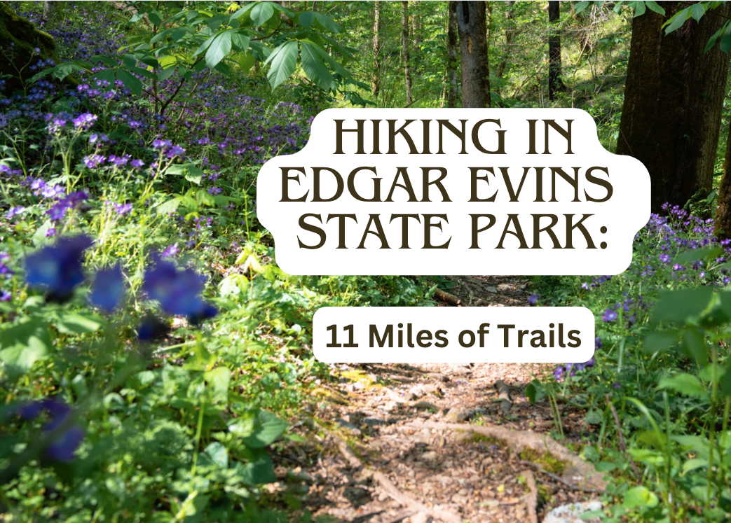 Everything to Know About Edgar Evins State Park - Average Wild Experience