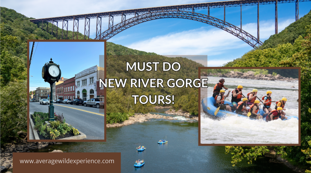 The Best New River Gorge Tours: Experience West Virginia! - Average ...