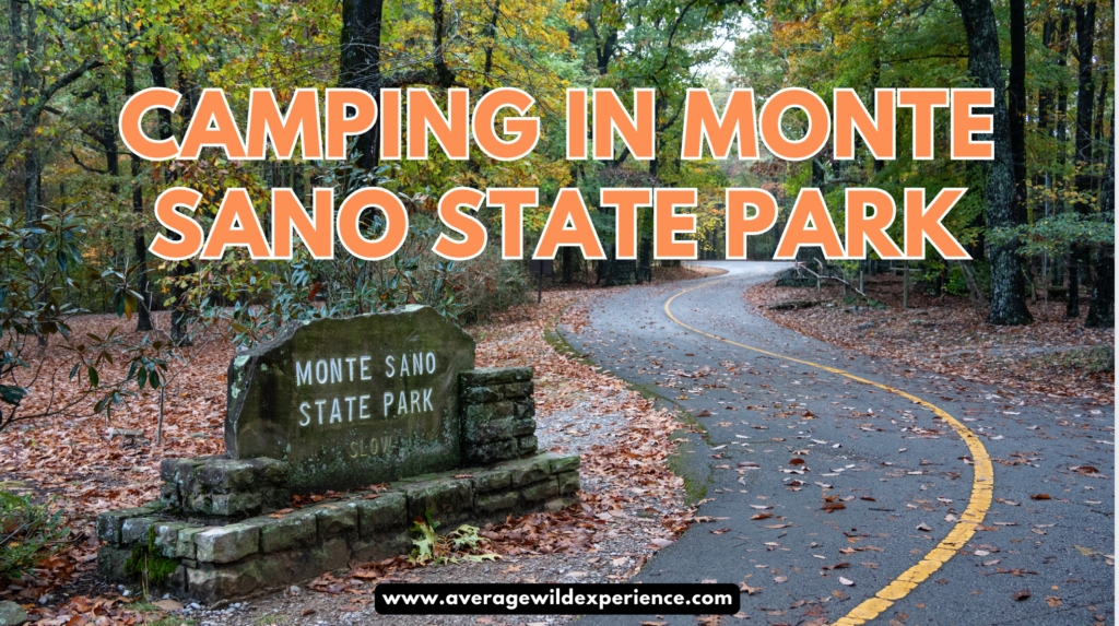 A Monte Sano State Park Camping Trip: Everything to Know! - Average ...