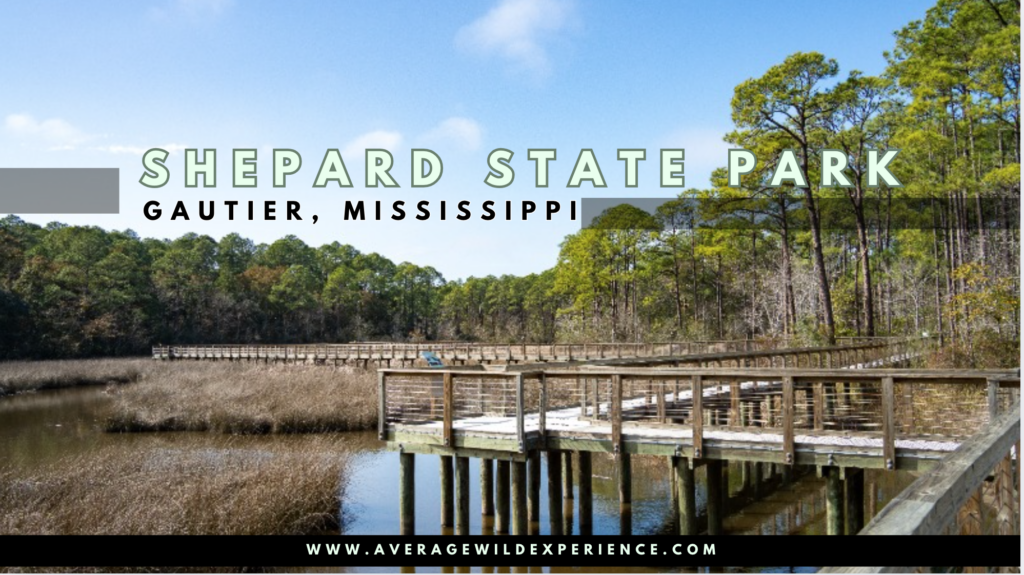 Shepard State Park: Everything You Need to Know - Average Wild Experience