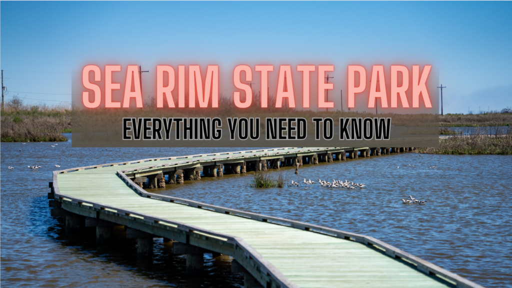 Sea Rim State Park: Everything You Need to Know! - Average Wild Experience