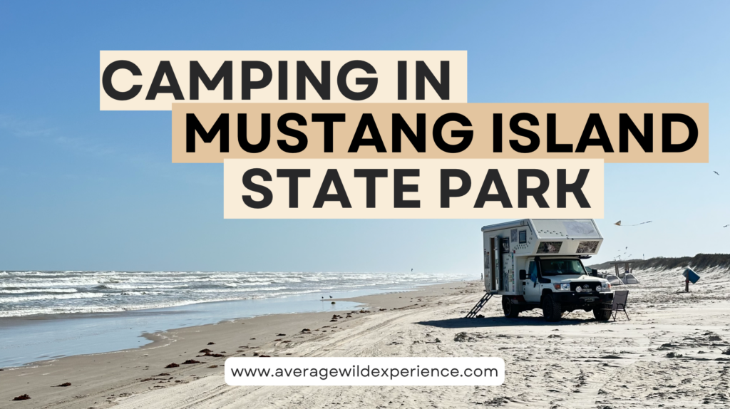 Mustang Island State Park Camping: All You Need to Know - Average Wild ...