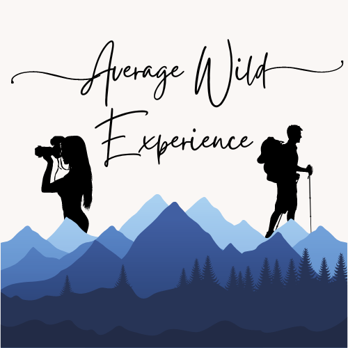 Welcome Home - Average Wild Experience