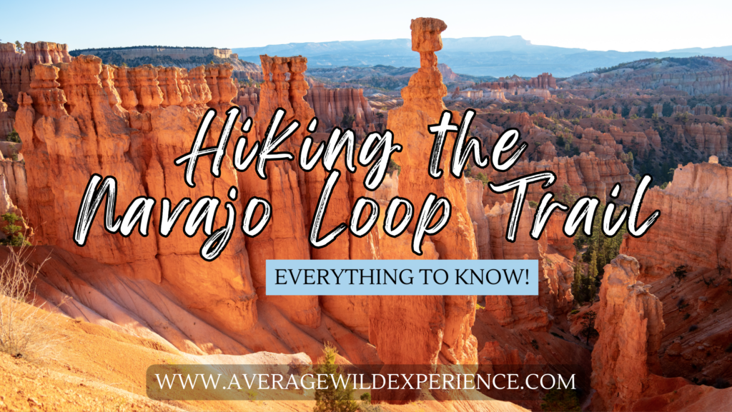 Bryce Canyon's Navajo Loop Trail: One of a Kind Trail - Average Wild ...