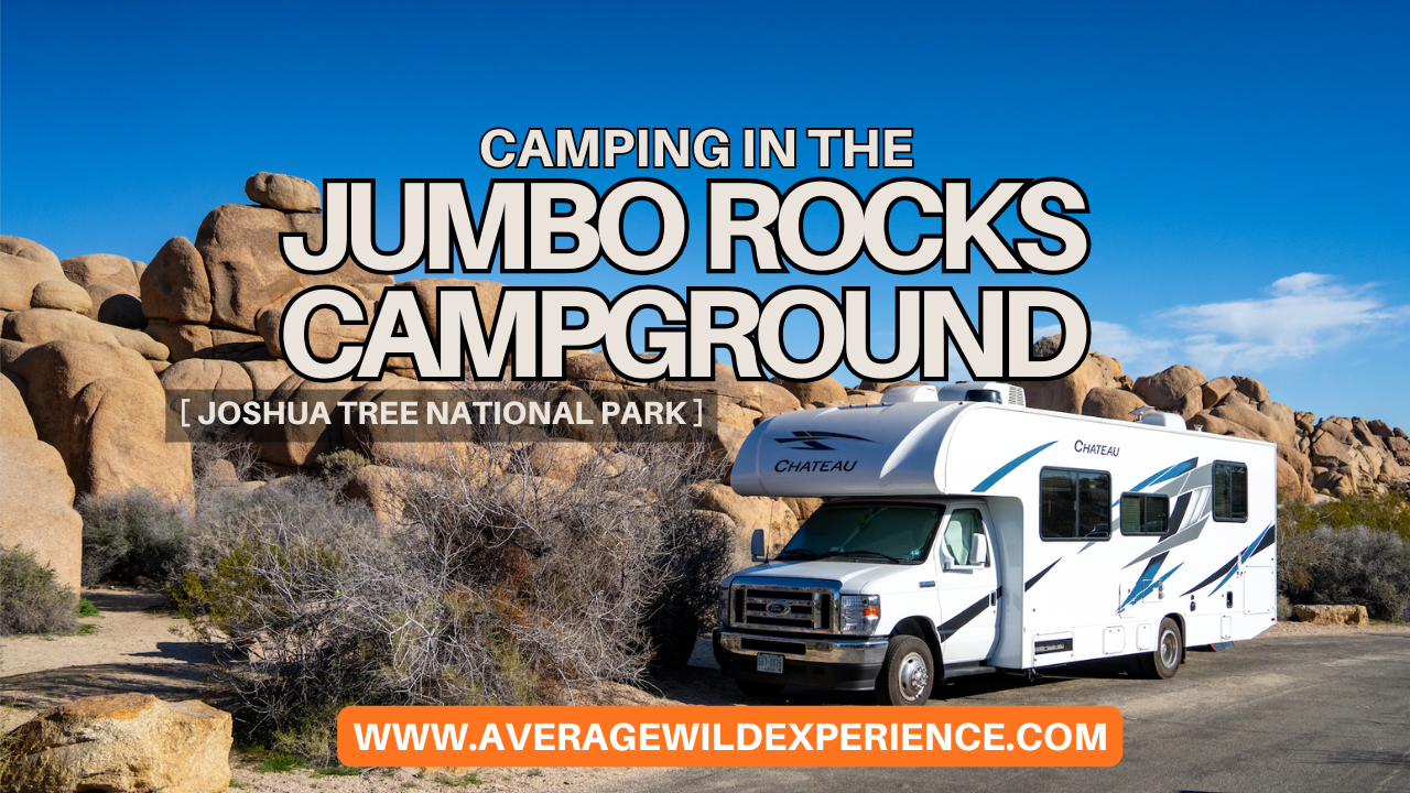 Camping in the Jumbo Rocks Campground: Joshua Tree National Park ...